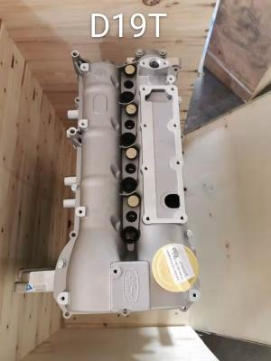 Cina Foday Car Fitment D19T Motore diesel 1.9 D per assemblaggio motore auto pick-up in vendita