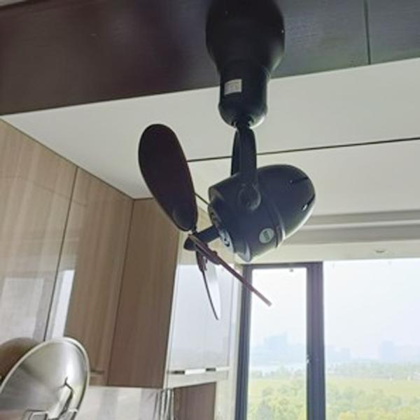 Quality Light Duty LED Ceiling Fan Lights , Wall Mounted Oscillating Fans With Remote for sale