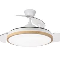 Quality 110V 220V Ceiling Fan Remote Control Modern 3 Blade Ceiling Fan With Light for sale
