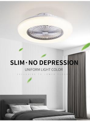 China Minimalist Style Fresh and Natural Style with Any Scene Household Universal Bright LED Ceiling Fan for sale