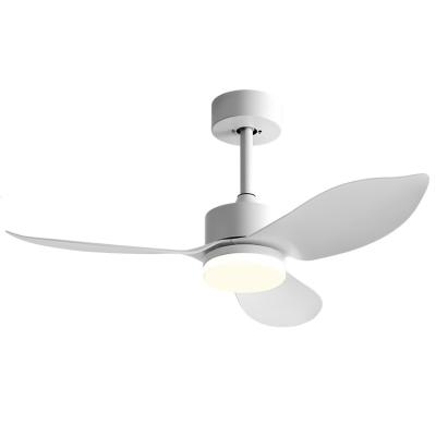 China Factory Direct Low Noise Pure Copper Motor 3 Blades Brushless DC Remote Control Modern Ceiling Fan Lights for sale