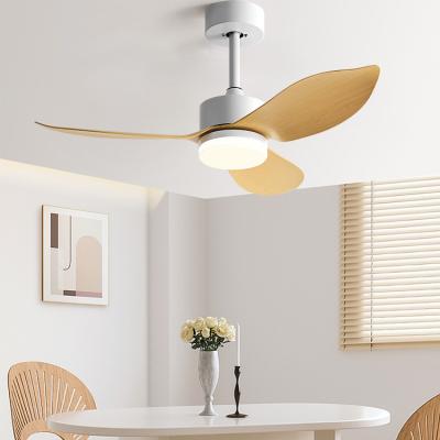China Factory Direct Low Noise Pure Copper Motor 3 Blades Brushless DC Remote Control Modern Ceiling Fan Lights for sale