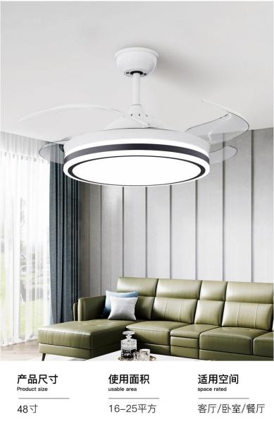 Quality 42-Inch Modern Simple LED Fan Lamp with for Bluetooth Frequency Conversion 110V for sale