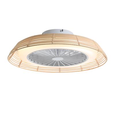 China 18 Inch Rattan Caged Fan Light Smart Tuya APP Control Ventilador Modern LED Ceiling Fan With Remote Control for sale