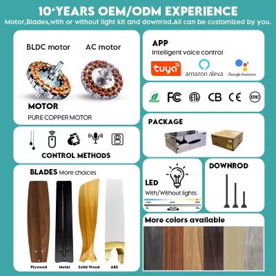 Chine Lumières de ventilateur de plafond LED certifiées ROHS La solution ultime pour l'installation de plafond à vendre