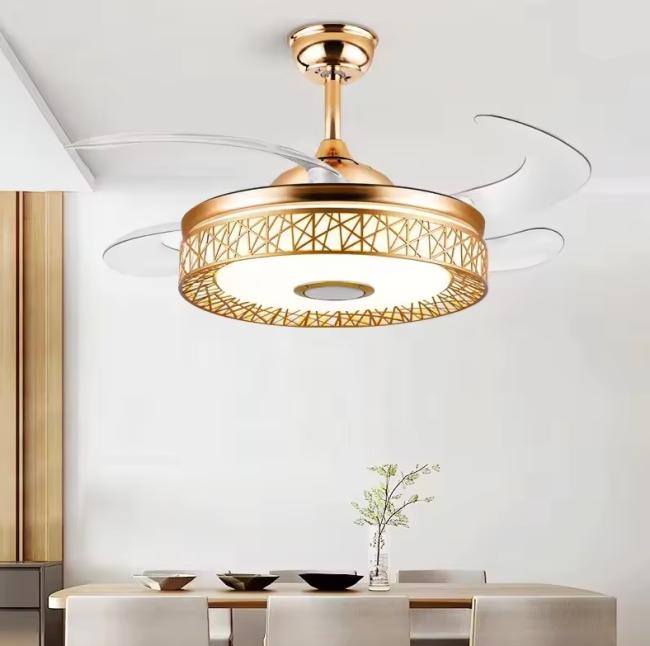 Remote Controlled Ceiling Fan with Light Fancy Pendant Lights Ceiling Fan Chandelier Combo Lighting Remote Control