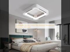 16 Inch LED Ceiling Fan Lights Remote Control E27 Ventilador Ceiling Fan Lamp
