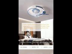simple creative bedroom dining room fan lamp fashion warm and comfortable three colours