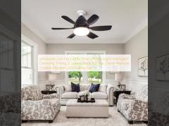 wholesale  Led Fan Lights Smart Home Light Intelligent Dimming Timing 3 Speed Black E27 Fan Decor Remote Control Modern LED Ceiling Fan