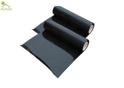 Cina Spessore dell'HDPE 0.5mm di ossigenazione del tessuto di Geomembrane dello stagno del carro armato del gamberetto del pesce in vendita