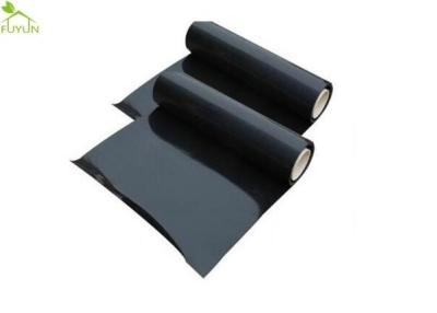 Cina Mucchio dello stagno che liscivia spessore ASTM del tessuto 1.0mm di Geomembrane dell'HDPE dei carri armati in vendita