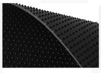 China 2.0mm Thickness Geomembrane Liner With Column Points for sale
