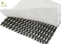 China 3D Drainage Geocomposite Drainage Layer Roadbed Protect Filter for sale