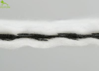Cina il fondo stradale dello strato drenante di Geocomposite di drenaggio 3D protegge il filtro in vendita