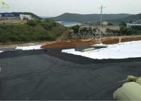 China Geotextile Project Impermeable Membrane Municipal Infrastructure Construction for sale