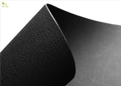 Cina Plastica ruvida del tessuto di Geotech di larghezza di Surfece 5m per protezione del pendio ripido in vendita