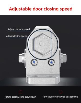 Cina Chiusura porta automatica idraulica in ferro regolabile a due velocità per tutte le porte in metallo e plastica in vendita