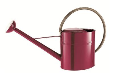 China galvanized oval  natural color antiqued 8 liters watering can water pot for sale