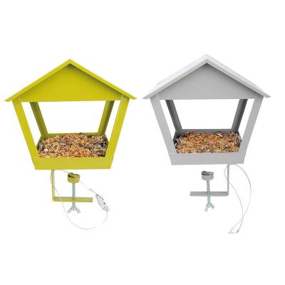 China galvanized sheet metal round  green bird feeder  wire bird spring for sale