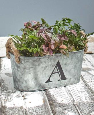 China galvanized oval red orange purple color flower tin  flower pot planter with hook for sale