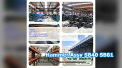 Short Bolt Assy  For Excavator Hydraulic Hammer SB40 SB43 SB50 SB60 SB70 SB121 SB81 At Standard Size