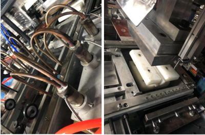 China De volledig automatische doos die van de multi-roosterlunch dubbele machine en multipe de dozen van de dinerlunch vormen Te koop