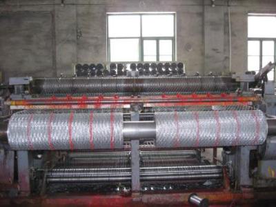 China Hexagonal Wire Netting for sale