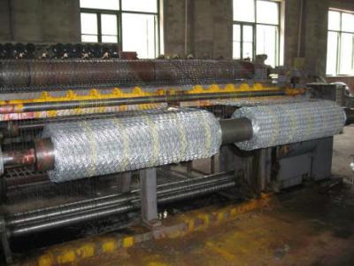 China Hexagonal Wire Netting for sale