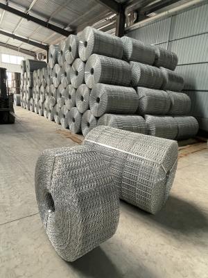 China Everglades Gas Pipeline Reinforced Galvanized Steel Mesh Length 140M Welded Mesh for sale