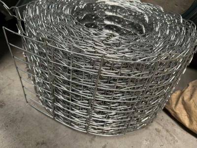 Cina 10 Linee di Rete Metallica CWC Zincata Saldata per Tubazioni, Rete di Rinforzo per Filtrazione e Protezione in vendita