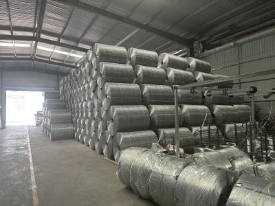 China Everglades Gas Pipeline Reinforced Galvanized Steel Mesh Width 190.5mm Welded Mesh for sale