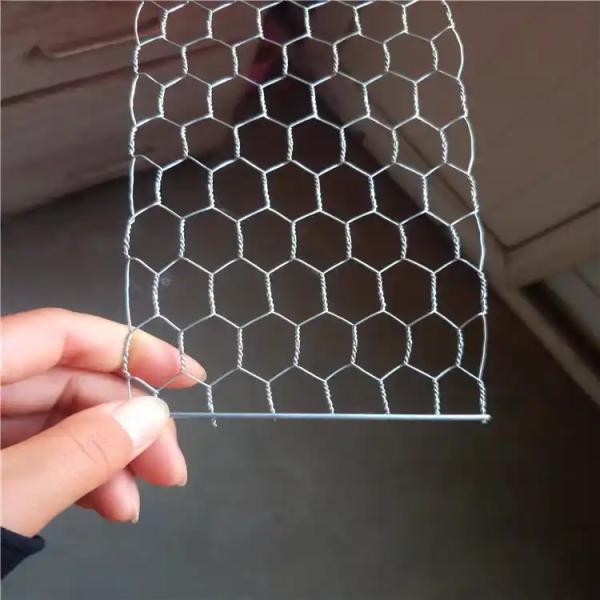 Quality Twisted Woven Hexagonal Hole Wire Mesh Low Carbon Steel for sale