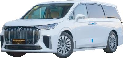 China Brand NeW VOYAH | Dream EV 2025 All-Wheel Drive Premium Kunpeng Edition | Pure Electric | MPV for sale