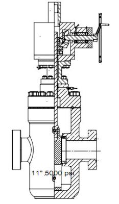 China 11