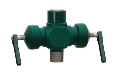 China BOP ROD 1.1/4 x 3.1/2 in EUE, WP 3000PSI, vertical bore, 2.99”, nitrile rubber for sale