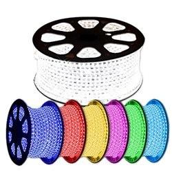 China Lampes LED ruban led 220v Bleu blanc flexible LED strip lights smd5050 10Meter plug and play LED strip lights with EU po for sale