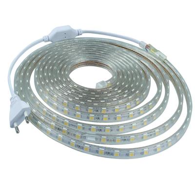 China SMD 5050 AC220V RGB LED led strip waterproof flexible bar light 60led/M 1M~ 100M with EU plug outdoor garden decoration for sale