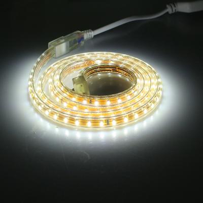 China SMD 3014 AC220V led strip light 1M/2M/3M/4M/5M/6M/7M/8M/9M/10M/15M/20M/25M,120leds/m IP67 waterproof led Strips with Pow for sale
