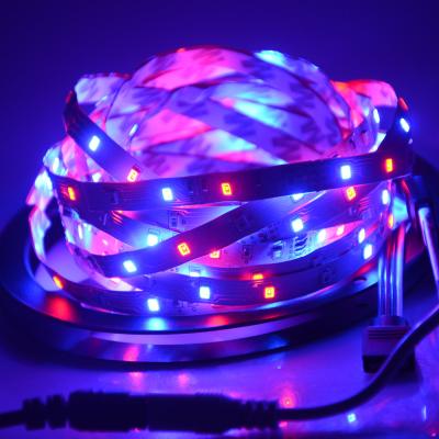 China Cinta Tira 300 Led Rgb 3528 Rollo de 5 m de Cinta LED RGB ( Rojo, Verde, Azul) Tiras de LED 12V luces led strips LED Tap for sale
