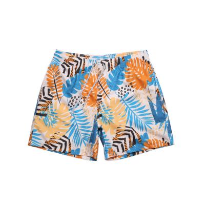 China 3D Printed Men Swimwear Board Shorts Men  Swim Trunks Men Beach Shorts for sale