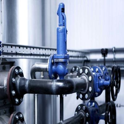 Китай Задерживающие клапаны диска Spirax Sarco и санитарный задерживающий клапан с ловушкой насоса продается