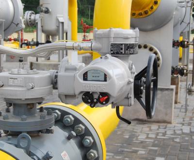 China ROTORK Electric Actuator IQ With Chinese Wuzhong Valve And Flowserve Ball Valves for sale