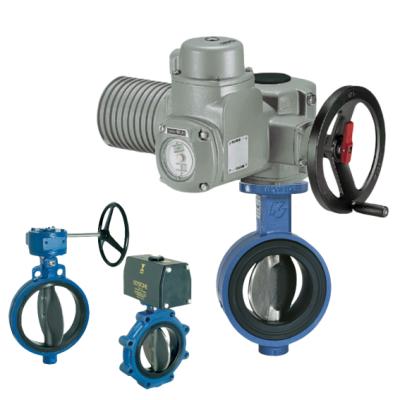 China Water Treatment Solution: Bidirectional Sealing & Low Maintenance Keystone Butterfly Valve and AUMA Actuator for sale