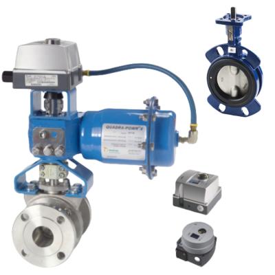 China General Purpose Resilient Seated Butterfly Valve Keystone Valve and Neles Valmet Valve Positioner ND7000 for sale