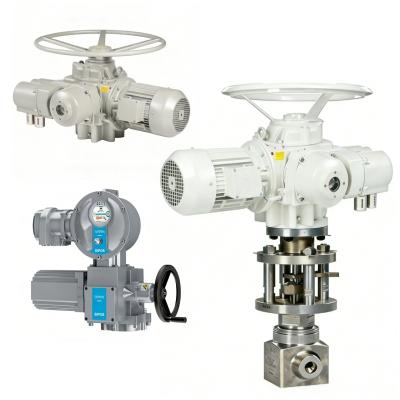 China SIPOS M7636 M7637 Actuator with EHO Electric Globe Valve Nuclear Power Plant Application Extreme Condition for sale