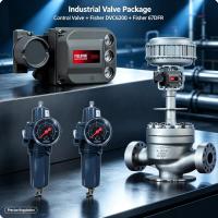 China Fi sher DVC6200 Digital Valve Controller with 67DFR Filter Regulator for Precise Pneumatic Control for sale