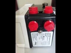 Chinese Integrated Equipment Duplex Liquid Fuel Boost Pump Skid Combined With FISH-ER DVC 6200 Controller