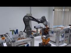 Robô de braço robótico colaborativo para automação de ensino experimental como robô cobot