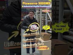 Good Price Flowserve Logix 3200MD Digital Valve Positioner And Reducing Valve