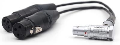 中国 Straight Input Camera Audio Cable 10 Pin To XLR 3 Pin Female ODM 販売のため